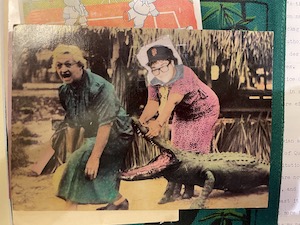 Eve Kosofsky Sedgwick | Jennifer Doyle on Working with the Sedgwick ...